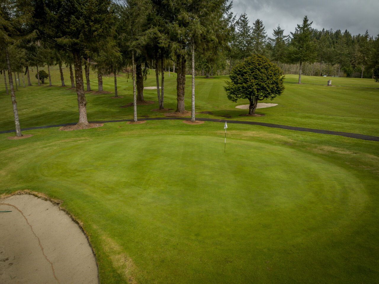 Hole 17 – Par 3 – HCP 18 | The Mook at Alderbrook